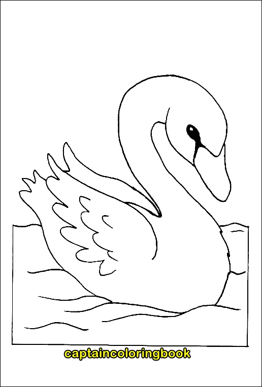 Coloring book pdf download