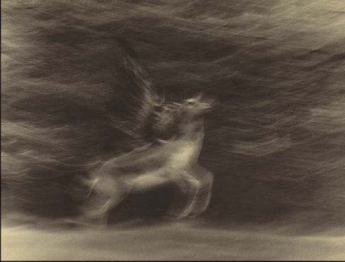 Imagen Digital: Joan Fontcuberta: Fauna Secreta