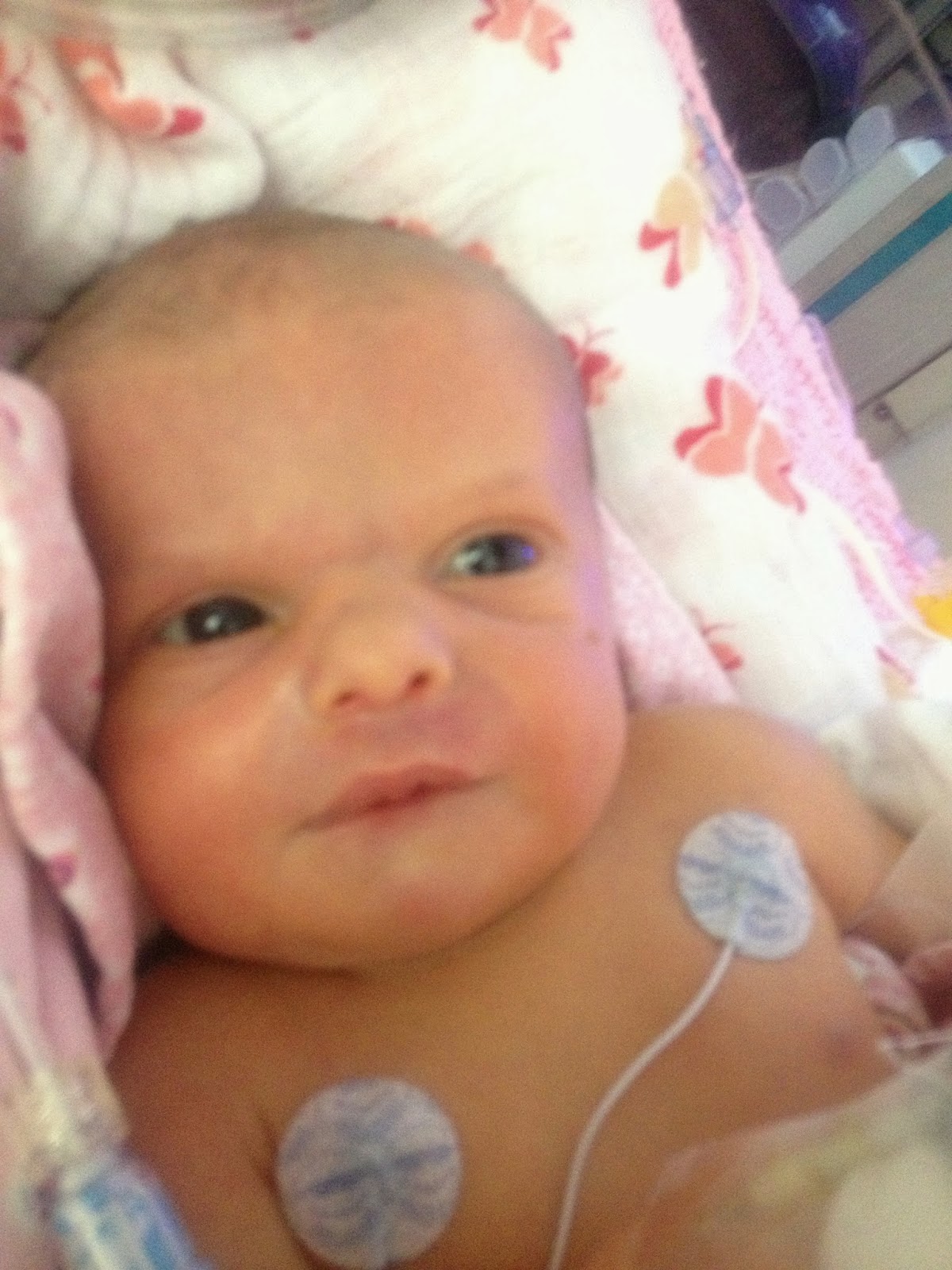 Natalie's Journey : the begining