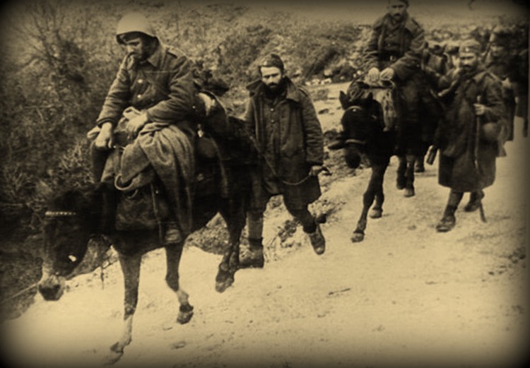 ΙΣΤΟΡΙΑ ΕΛΛΗΝΙΚΗ ΚΑΙ ΠΑΓΚΟΣΜΙΑ : ΙΣΤΟΡΙΑ ΤΟΥ ΕΛΛΗΝΙΚΟΥ ΙΠΠΙΚΟΥ ΚΑΙ ...