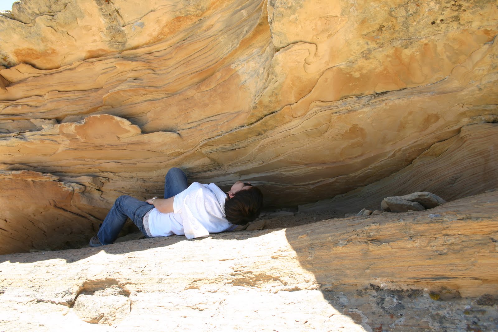 Sedimentary Lifestyle: Ichnology