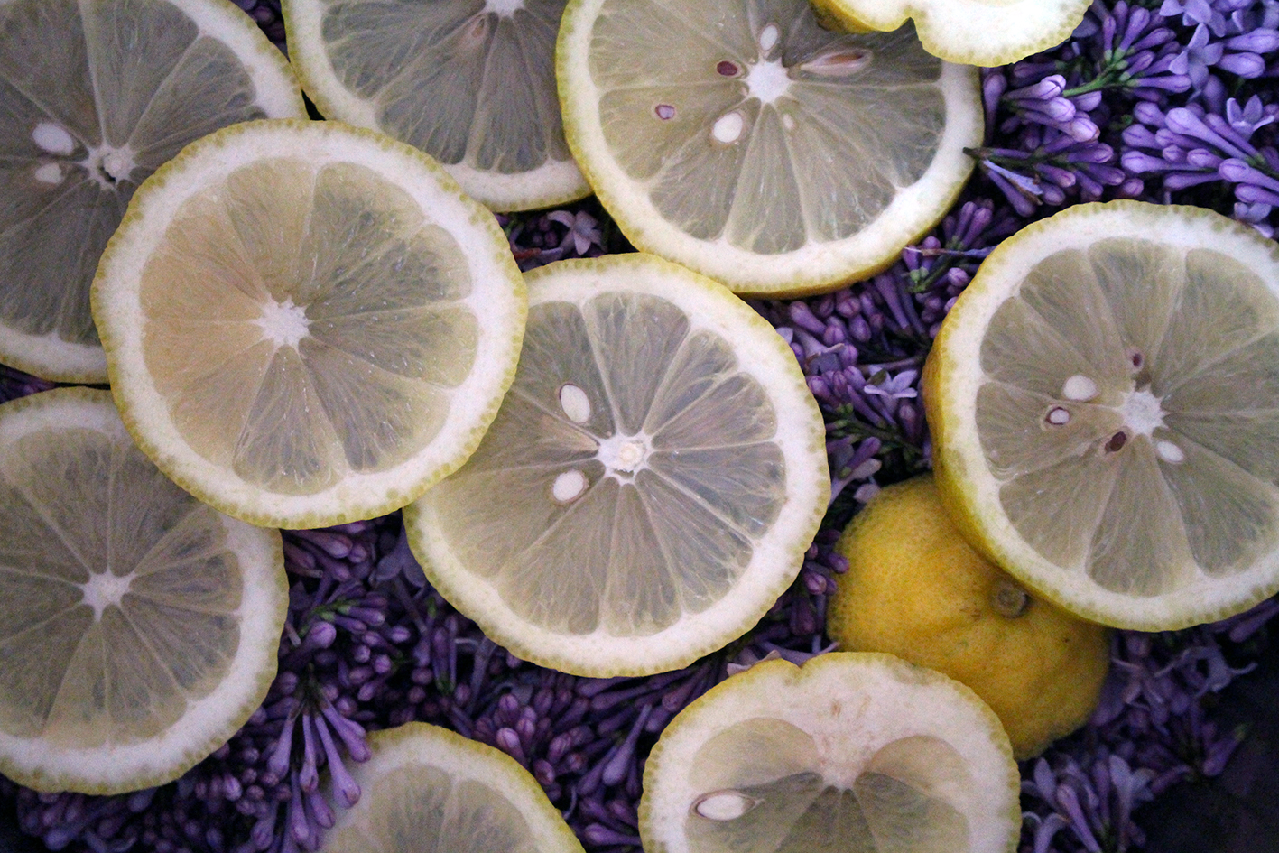 Mehua syreenin kukista / Kipparin morsian