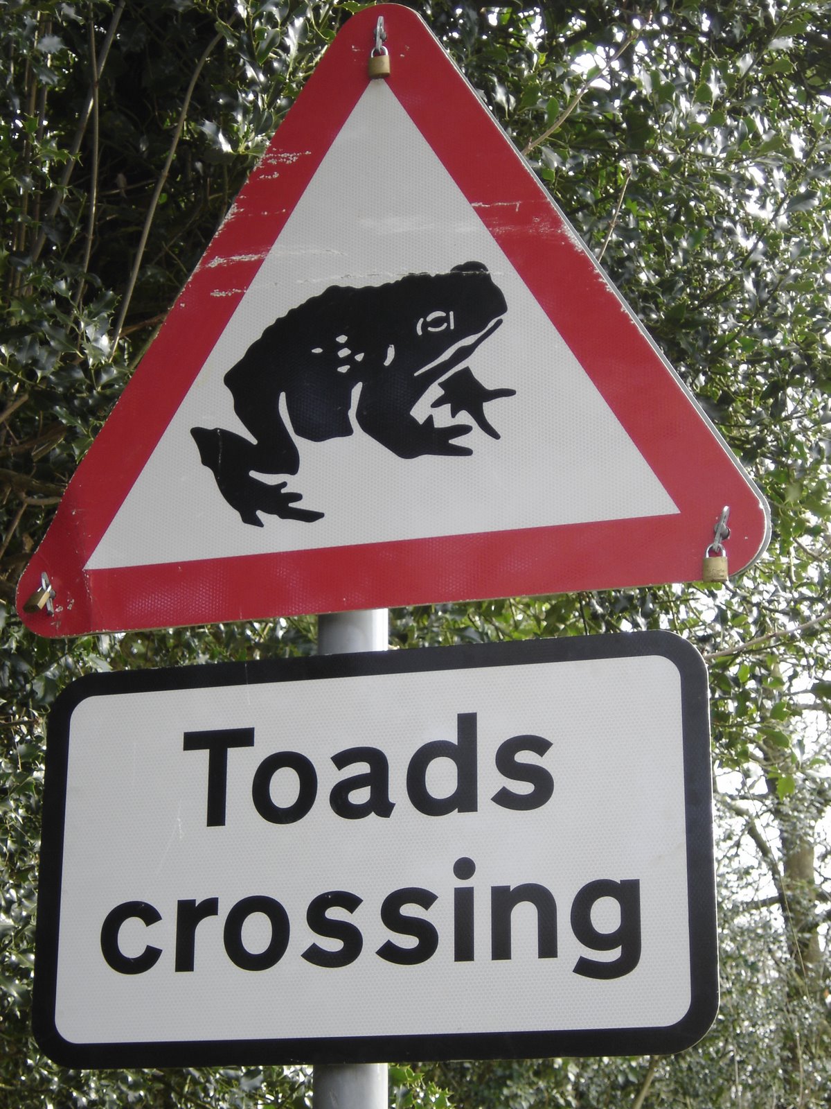 Lewes & District 'Toad in the Hole' League: April 2013