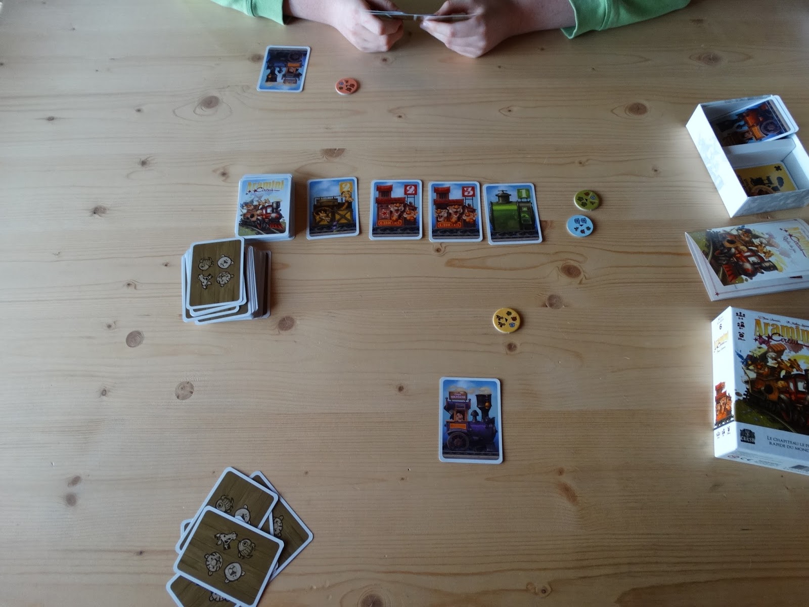 Des Jeux à Butiner: Aramini Circus