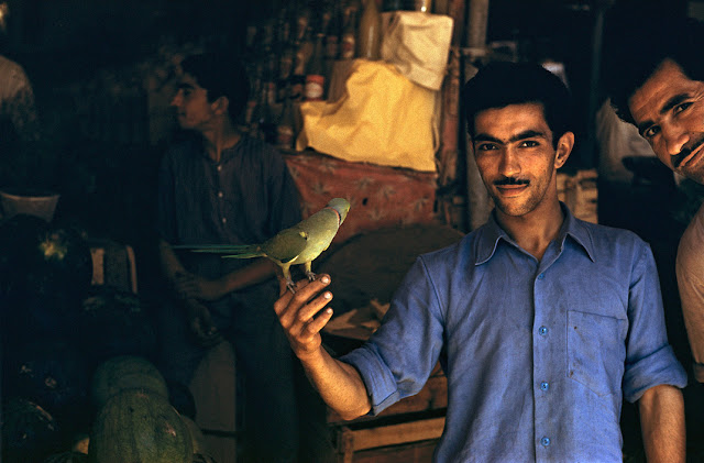 18 Interesting Color Photographs of Iran in the 1950s ~ Vintage Everyday