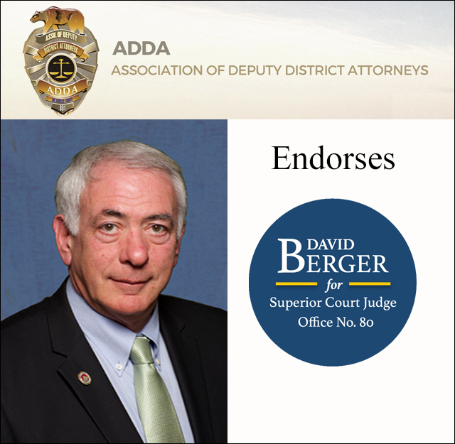 David Berger for Judge : 2019