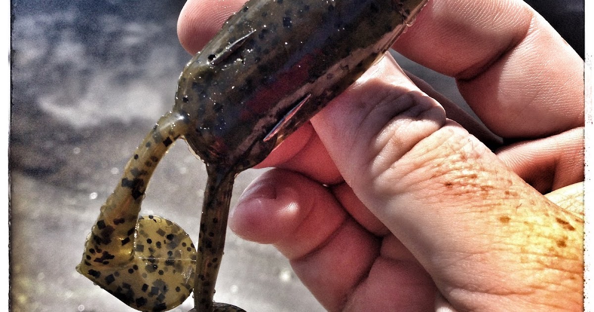 Bass Junkies Frog Pond: Luck-E-Strike Frantic Frog Review