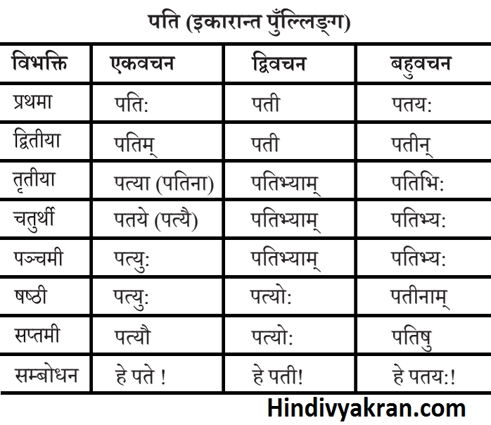 पति शब्द रूप संस्कृत में – Pati Shabd Roop In Sanskrit | HindiVyakran