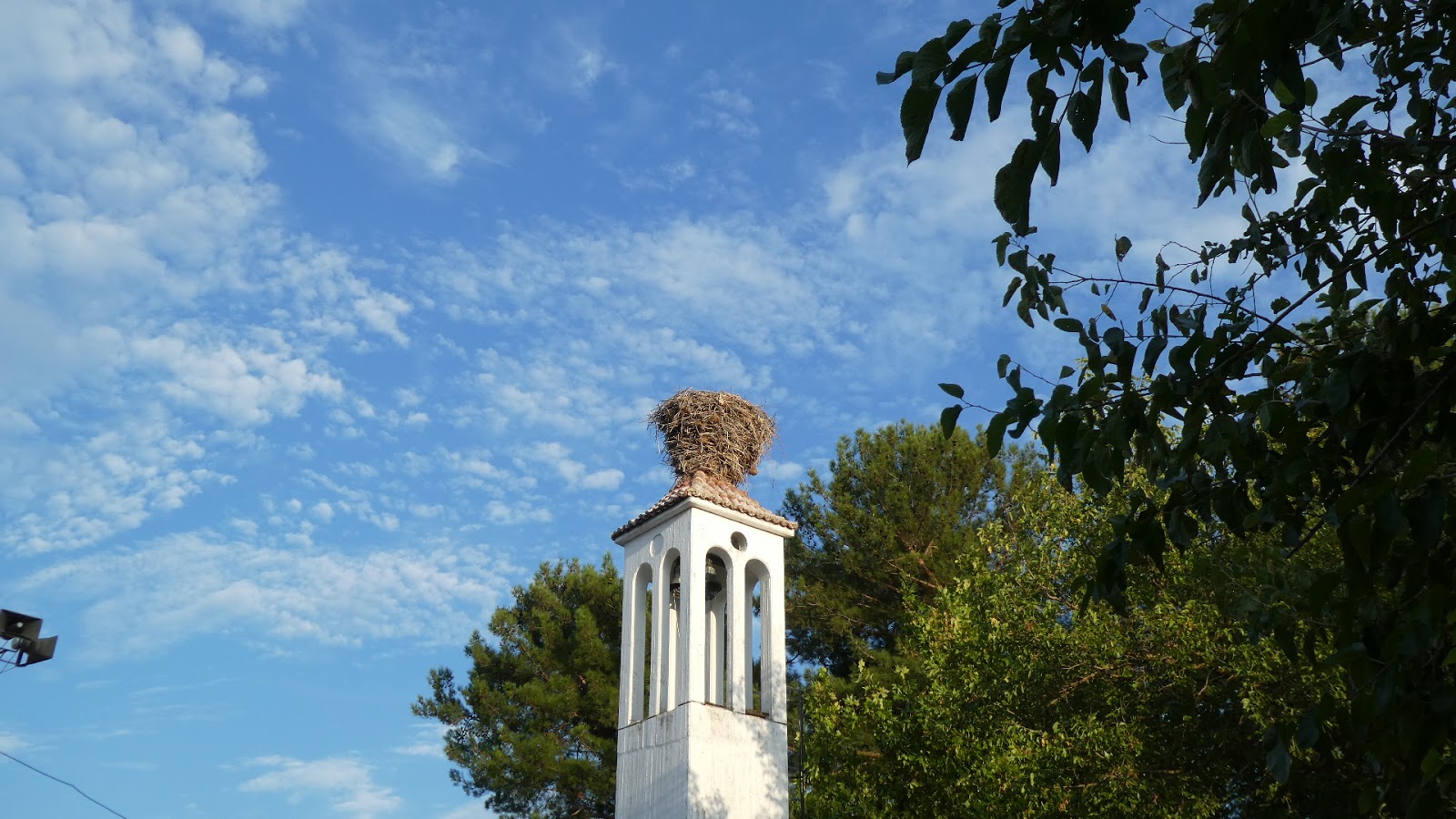 ΠΗΛΙΟ (ΖΑΓΟΡΑ - ΑΓΙΟΙ ΣΑΡΑΝΤΑ - ΠΟΥΡΙ - ΦΑΡΑΓΓΙ ΓΑΛΑΝΟΡΕΜΑ)