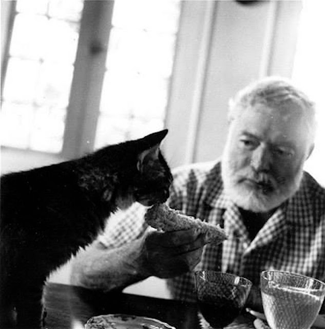 26 Interesting Vintage Photos of Ernest Hemingway With His Beloved Cats ...