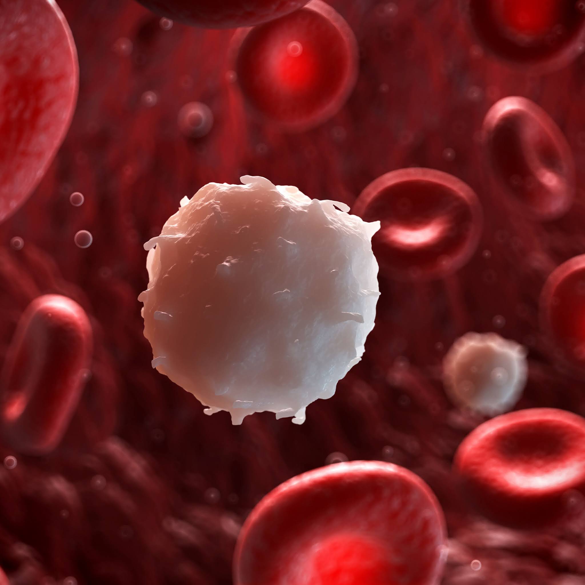 What is Golden Blood ? Why it is called rarest blood