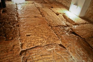 Off the Daf and Into Israel