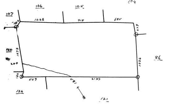 Details about lands in Andhrapradesh: Survey sketch(FMB) of ...