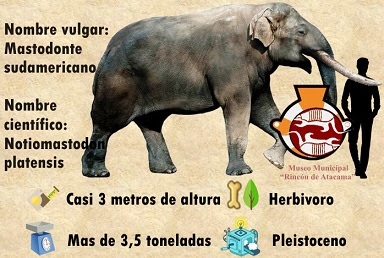 Museo Municipal Rincon de Atacama. Termas de Rio Hondo. (Sitio Oficial ...