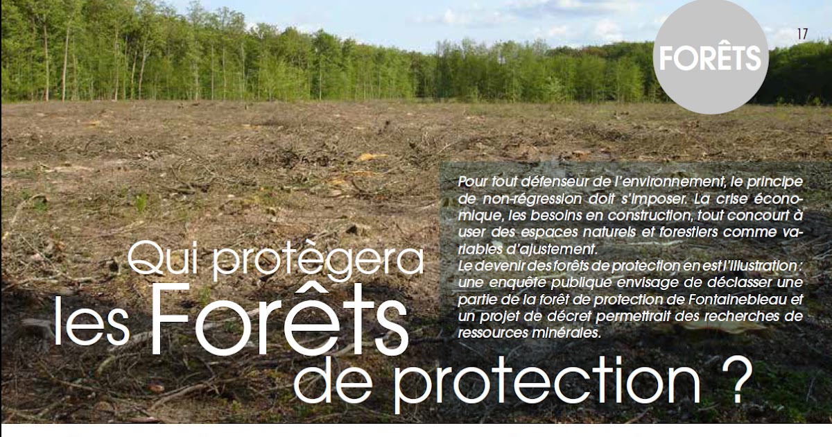 SOCIETE DE SAUVEGARDE DE LA FORET DE FONTAINEBLEAU ET DE LA VALLEE DE ...