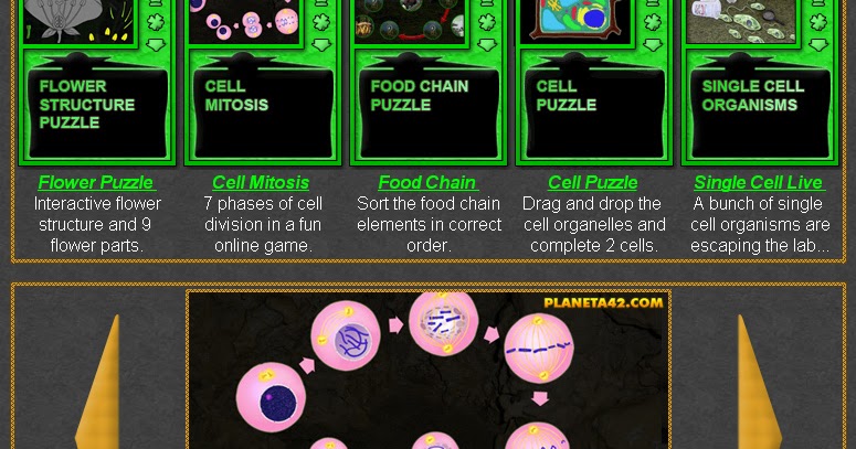 Electronic Game School: Biology Games for Kids