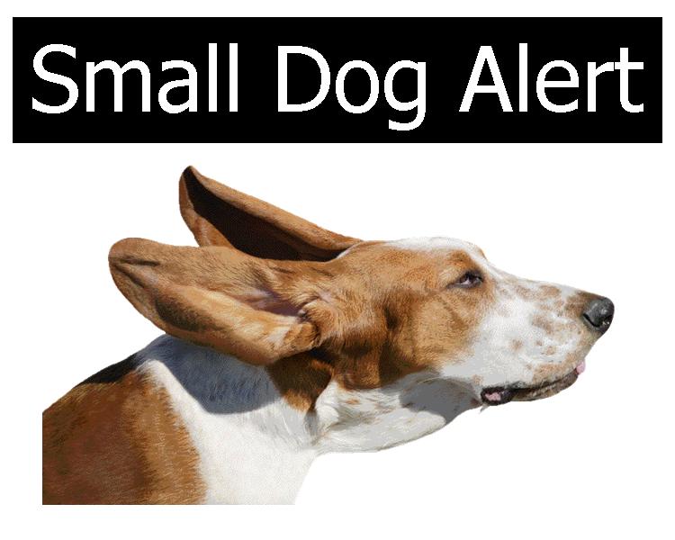 Peggy Adams Animal Rescue League: Just For Laughs