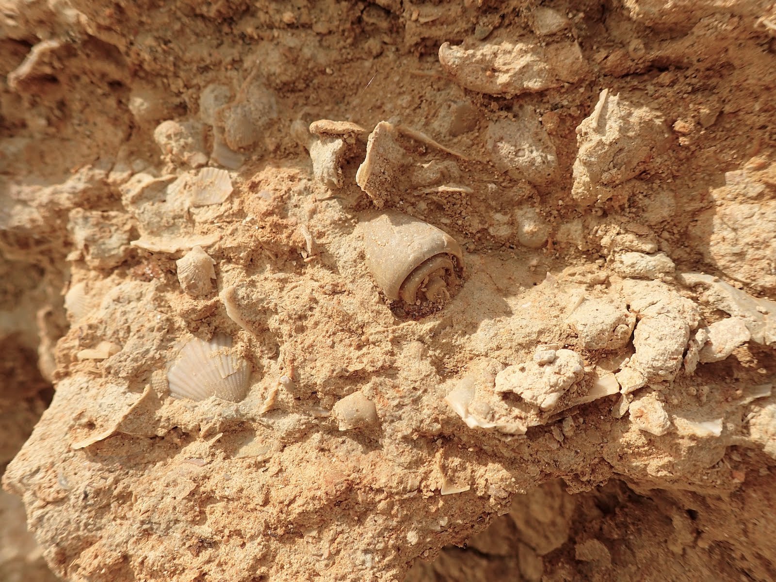 Things we did today...: Chillin’ Like Anguillans