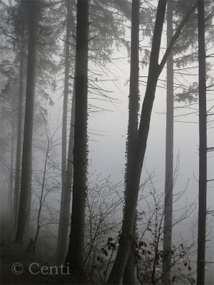 Centi bastelt: Sonne und Nebel