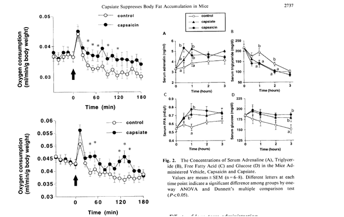 The Boundless Thicket: Cayenne Peppers and Metabolism