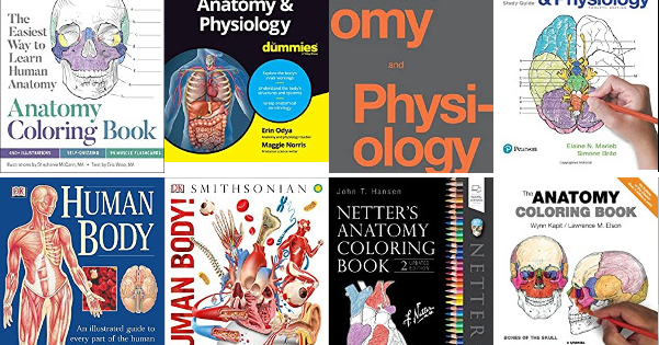 Anatomy Book