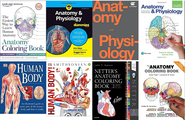 Anatomy Book