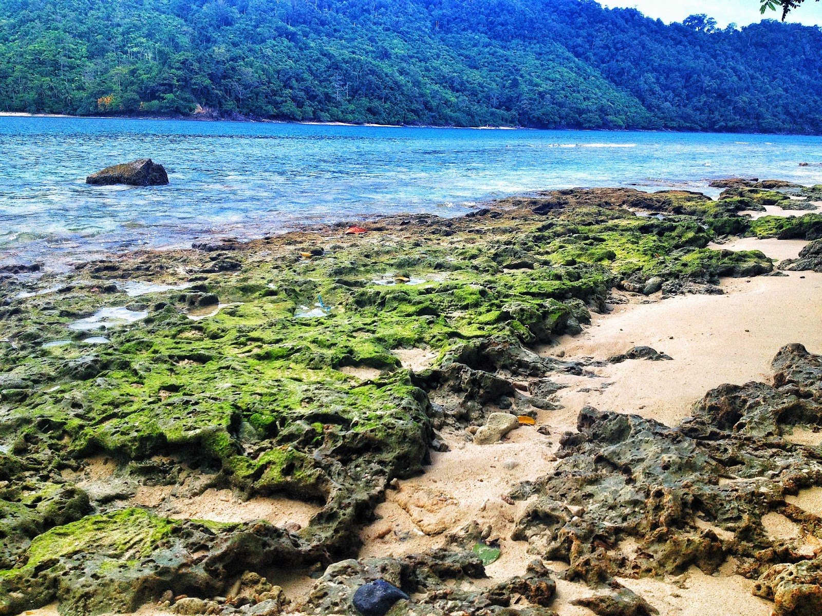 Danny Williams's Blog: Long Trip to Capture Dolphins At Kiluan Bay ...