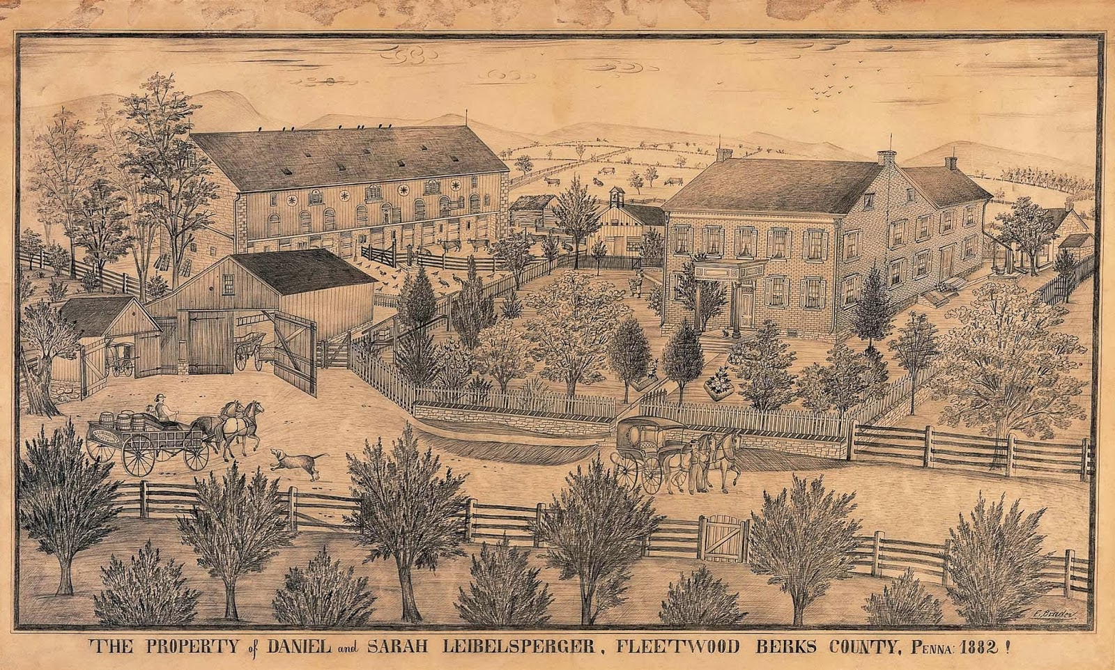 ARTWACH: Brader Perspectives