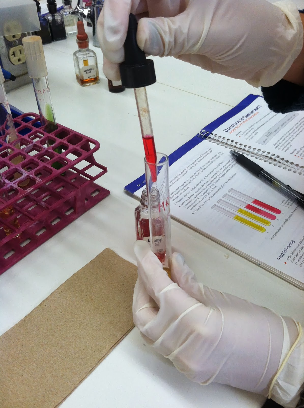 Rose & Lindsey's Medical Microbiology Blog: Methyl Red Test and Voges ...