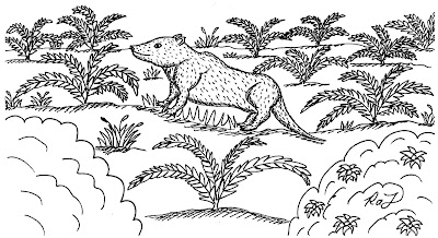 Robin's Great Coloring Pages: Early Paleogene Mammals of Colorado ...