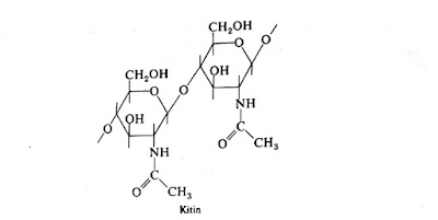 Mengenal Kitin dan Heparin