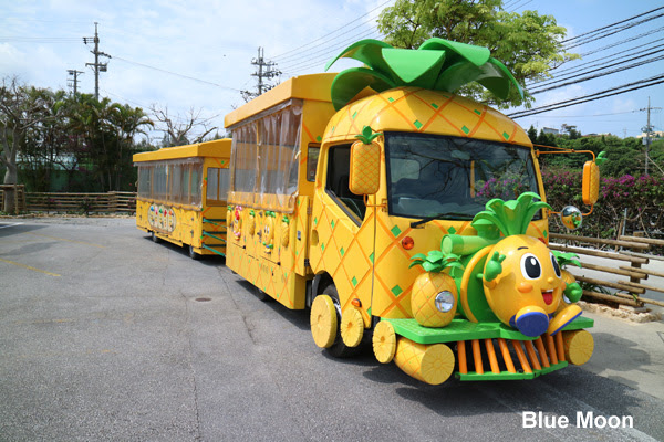 One Day Bus Tour - Okinawa, Japan