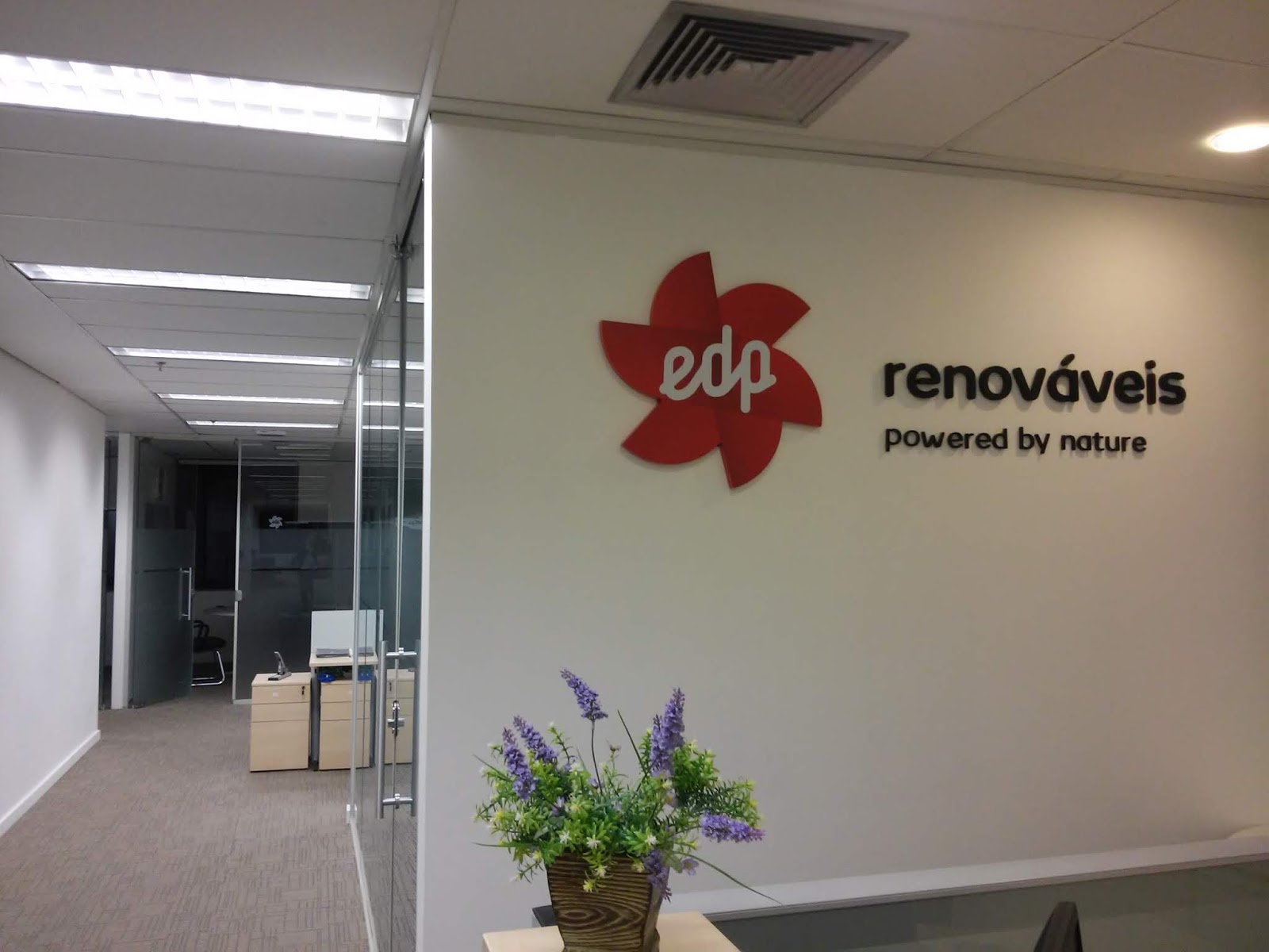 EDP está a contratar em várias áreas em Portugal - Oferta d'Emprego