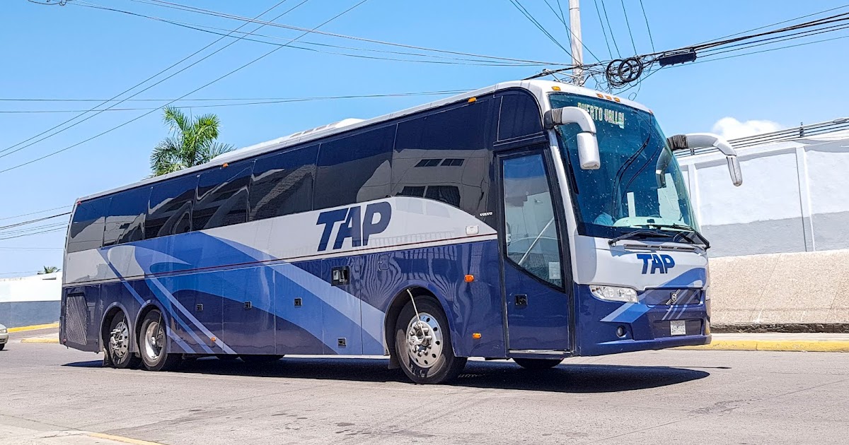 MAXIBUSES: TRANSPORTES Y AUTOBUSES DEL PACÍFICO (TAP)