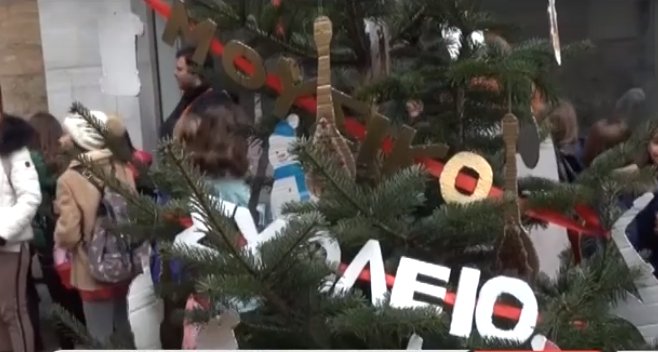 ΠΥΞΙΔΑ ΣΤΟΛΙΣΜΟΣ ΧΡΙΣΤΟΥΓΕΝΝΙΑΤΙΚΩΝ ΔΕΝΤΡΩΝ