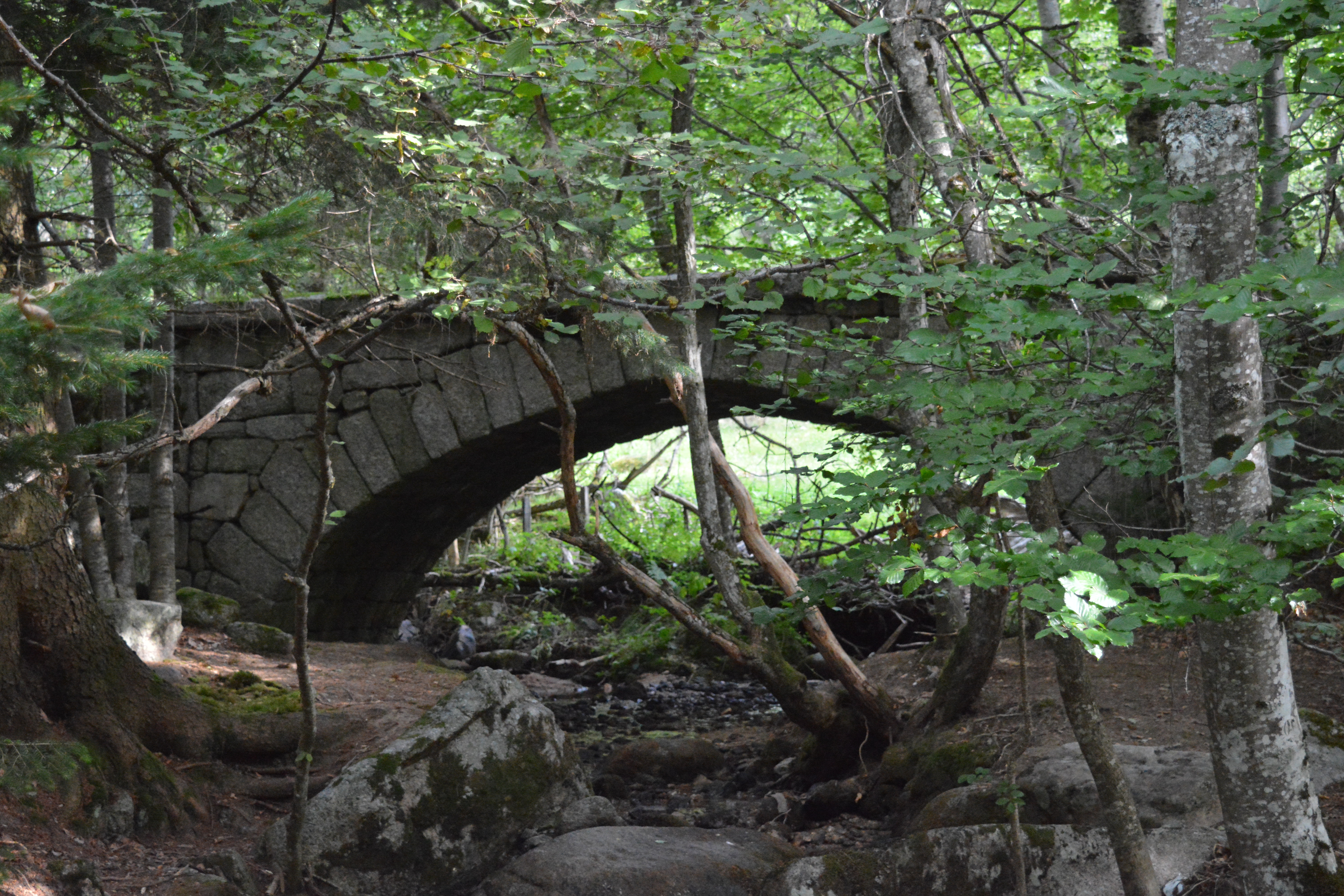 RANDO SENOUIRE: Chastel-Nouvel