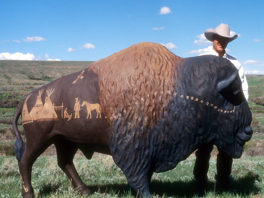 Chris Navarro Studio Blog: ''WYOMING BUFFALO''