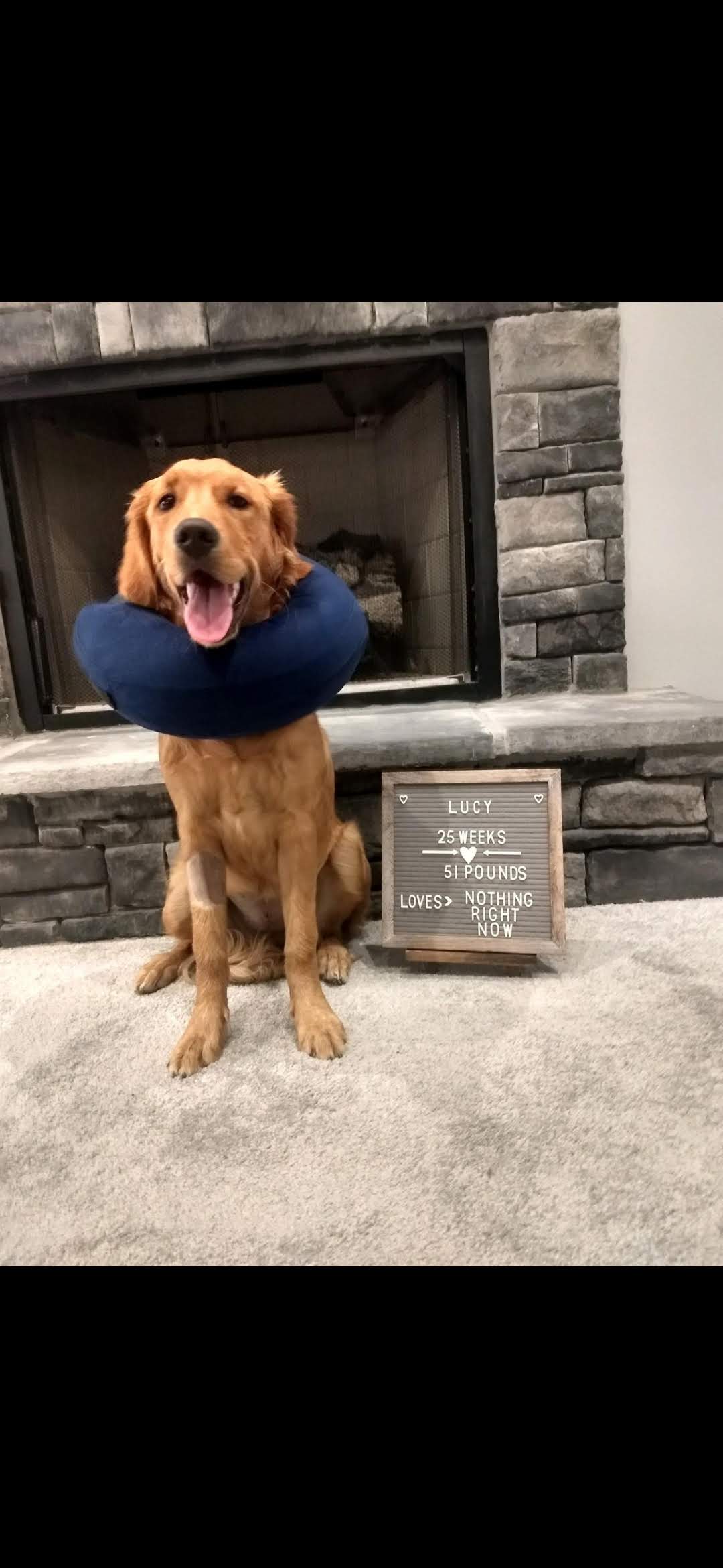 Newest Raborns on the Block!: Lucy Cove Raborn Growth Updates!