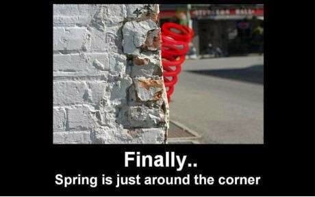 Finally.. Spring is just around the corner ~ Joke All You Can