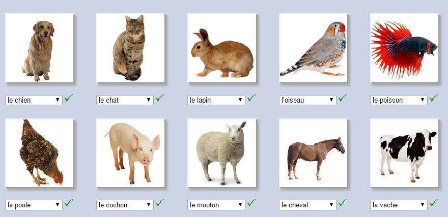 Les animaux domestiques