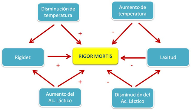 Rigor Mortis y Maduración
