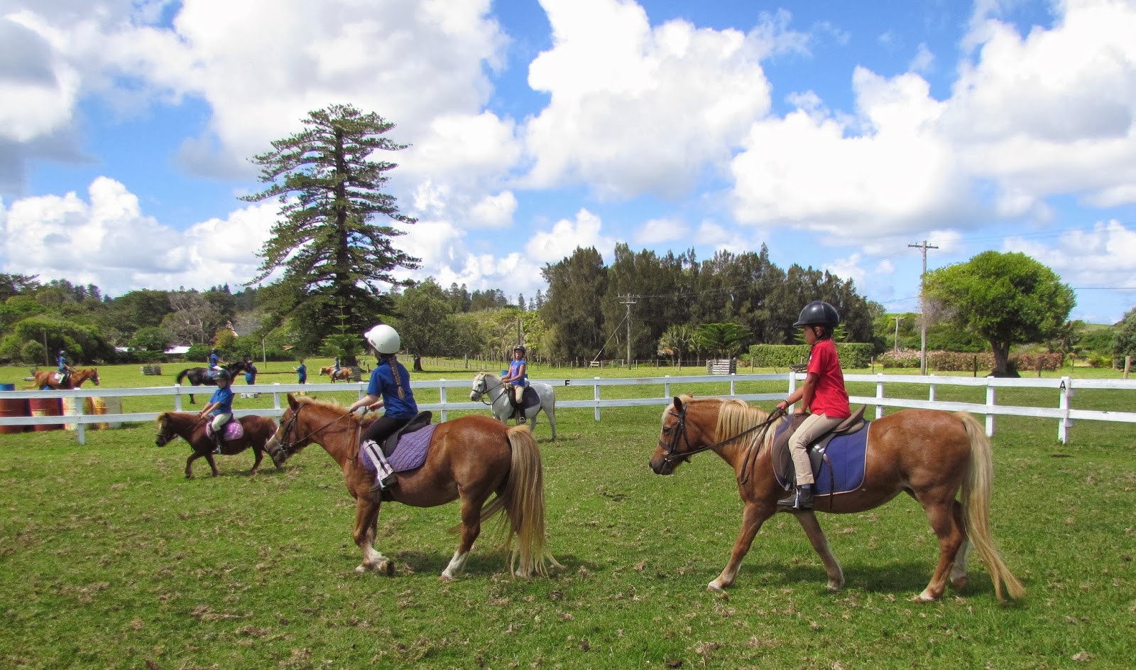 Norfolk Island Pony Club & Equestrian Association: Pony Club Rally Day ...