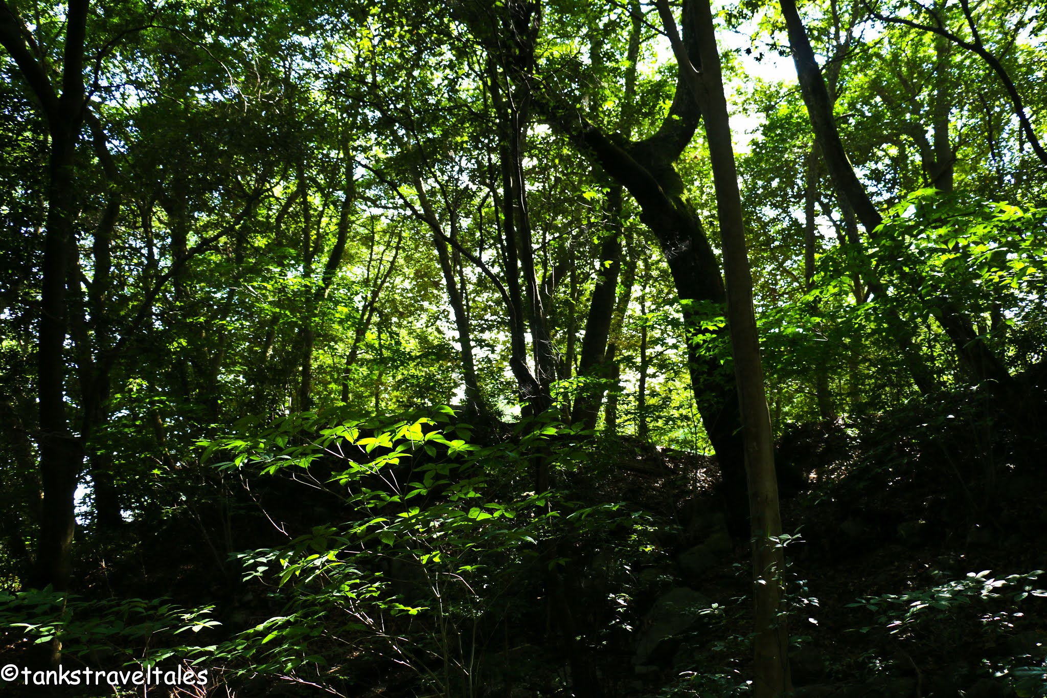 Japan, Iwakuni - Castle on Mount Shiroyama