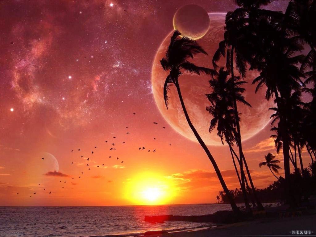 BEAUTIFUL SUNSET AND MOON WITH COCONUT TREE LANDSCAPE WALLPAPERS ...
