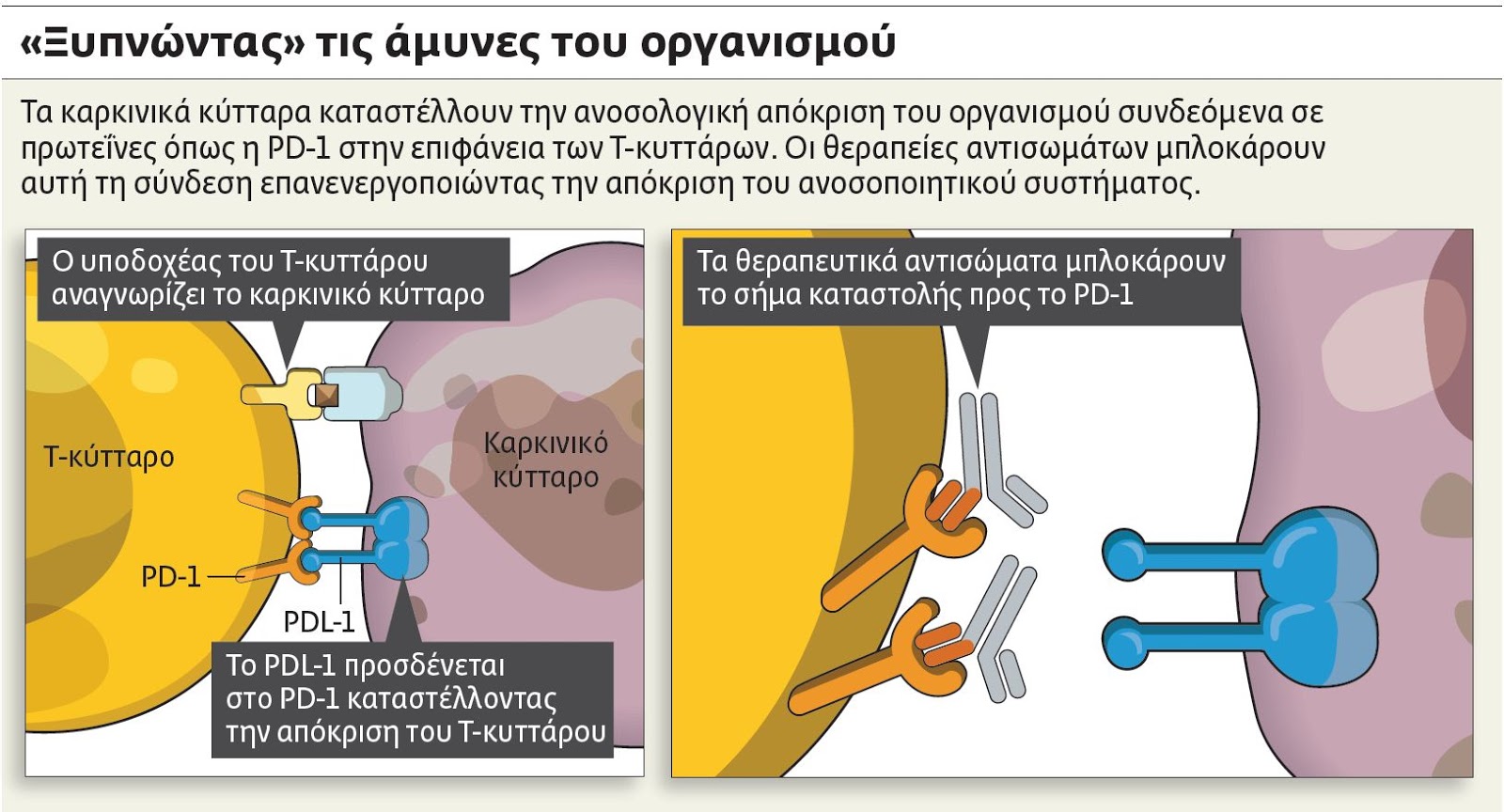 ΥΓΕΙΑ - SOS: ΑΝΟΣΟΘΕΡΑΠΕΙΑ : ΝΕΑ ΕΠΟΧΉ ΣΤΗΝ ΑΝΤΙΜΕΤΏΠΙΣΗ ΤΟΥ ΚΑΡΚΊΝΟΥ