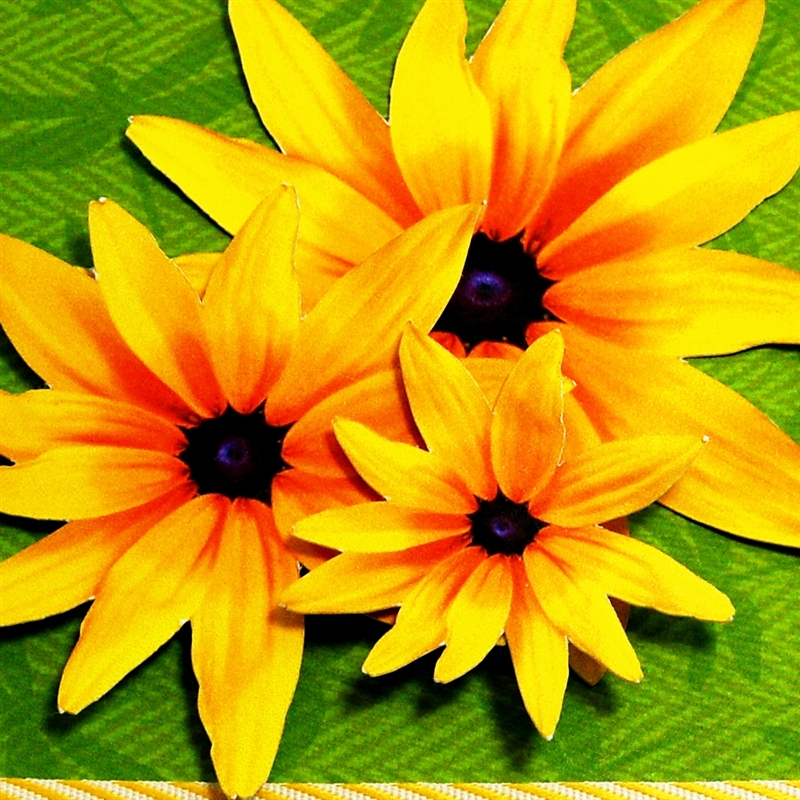 Capadia Designs: Real Flowers - printed and cut for a card