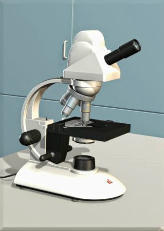 EL MICROSCOPIO: El microscopio virtual e interactivo de Enciclomedia