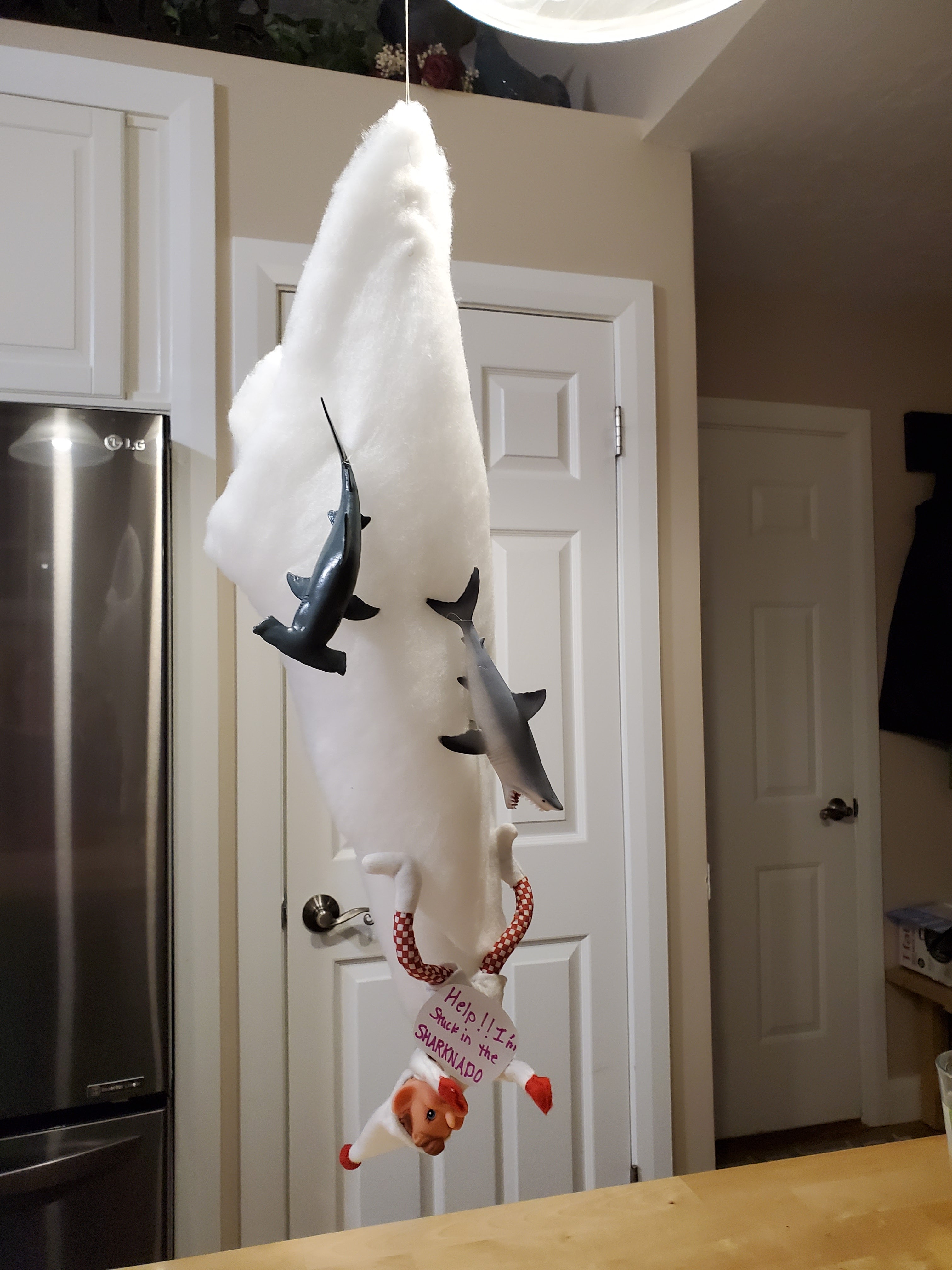 Must Run in the Family: 44 Elfies For Teenagers and Adults