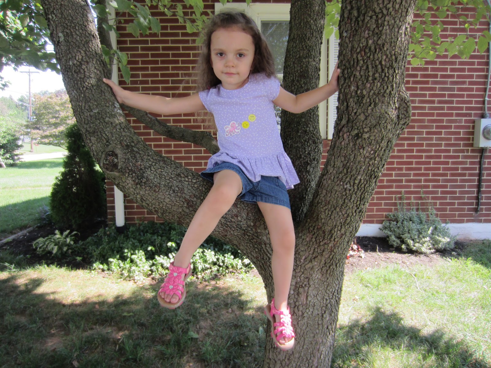 Kara's Domestic Life: 207 singer road