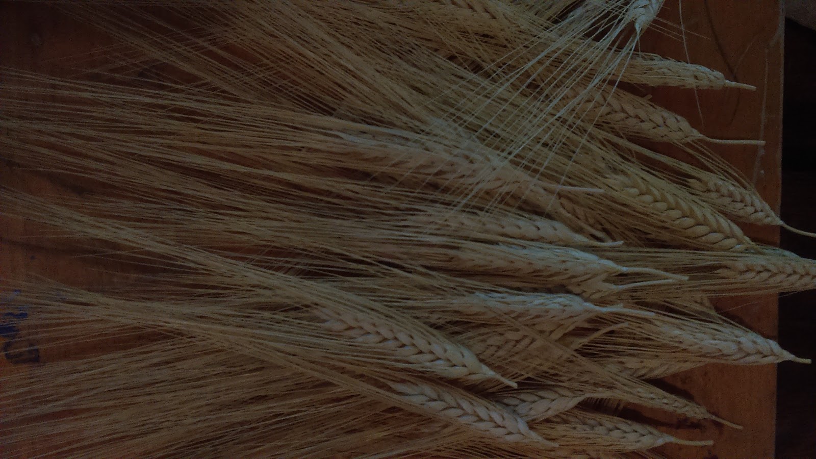 Homeschooling Papist: Jesse Tree ornament tutorial for Wheat (Ruth and ...